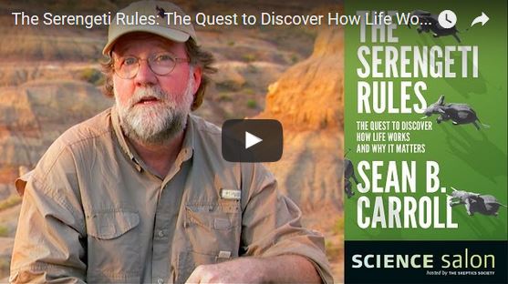 The Serengeti Rules: The Quest to Discover How Life Works and Why It ...