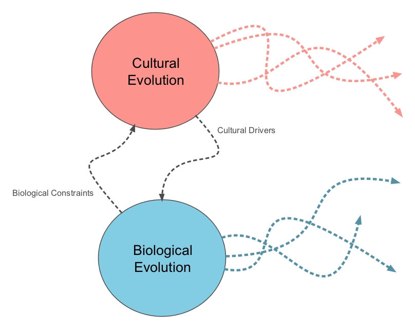 Cultural Evolution: A Biocultural Perspective Inspired by Richard Boyd ...